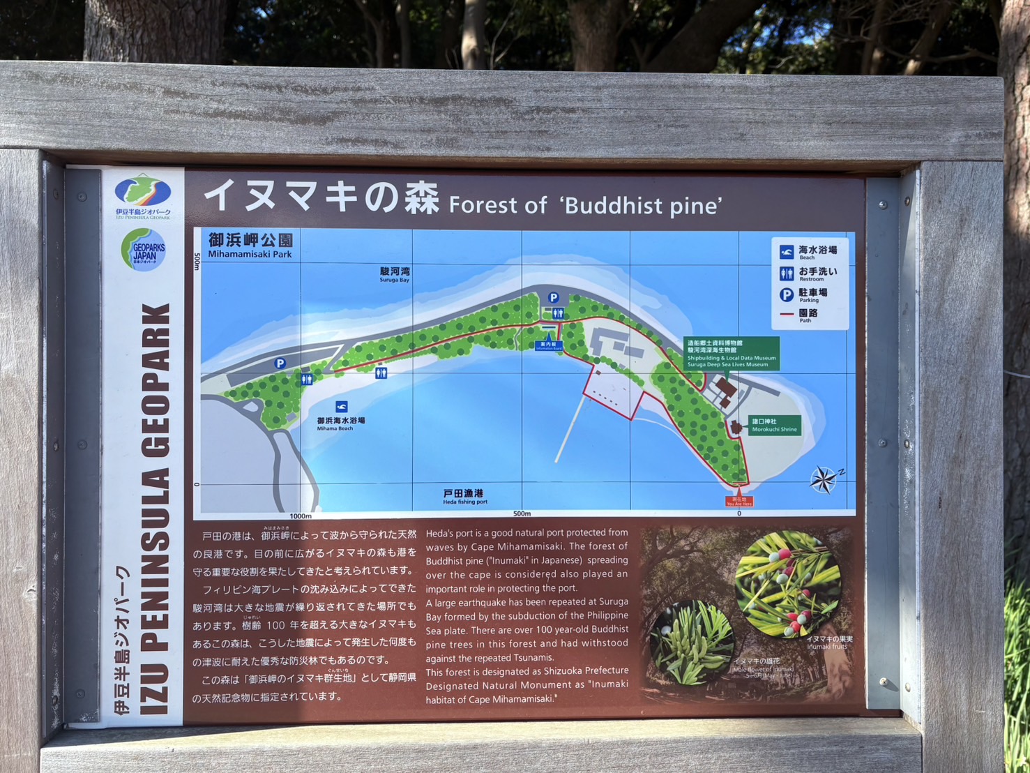 【沼津市・諸口神社】赤い鳥居と透き通る青い海、富士山が望める絶景パワースポット | ひとりごと