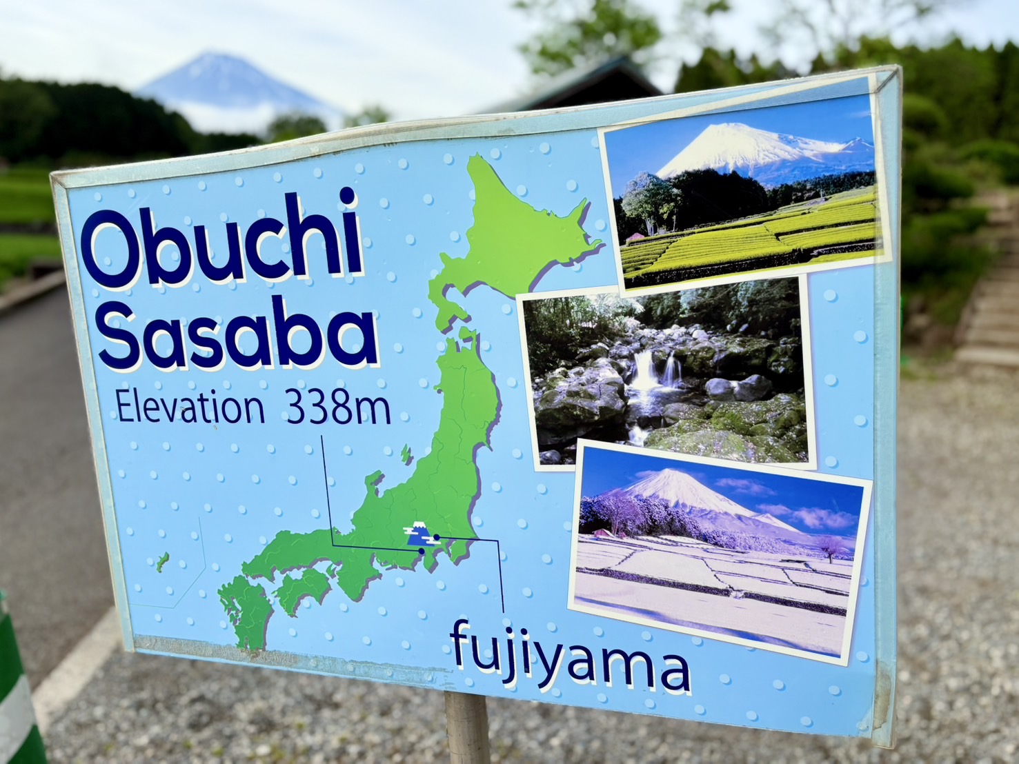 【富士市】大淵笹場｜新緑の茶畑と富士山の絶景スポット・CMロケ地 | ひとりごと